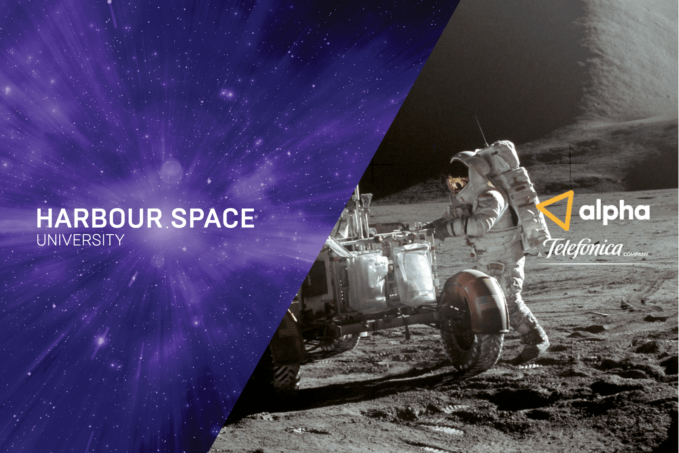 Harbour.Space X Telefonica Alpha How to Survive Your First Hackathon